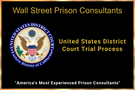 The US Federal District Court System | Federal Appellate Courts